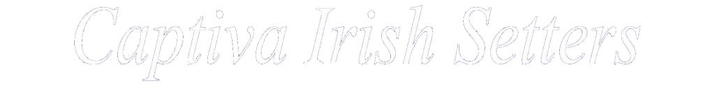 Captiva Kennels – Irish Setters, Cambridge, ON