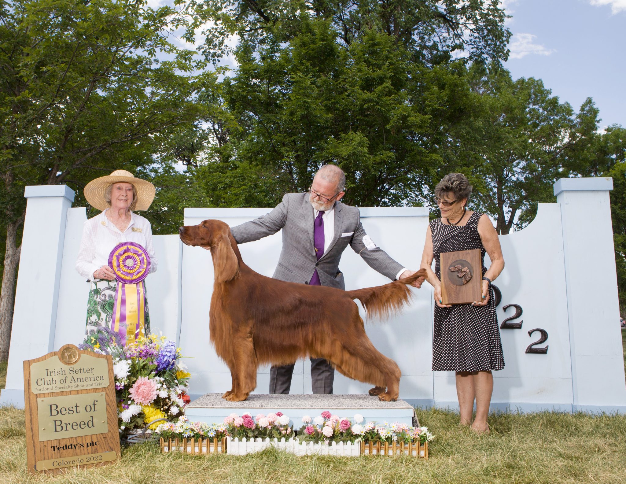 Captiva Kennels – Irish Setters, Cambridge, ON